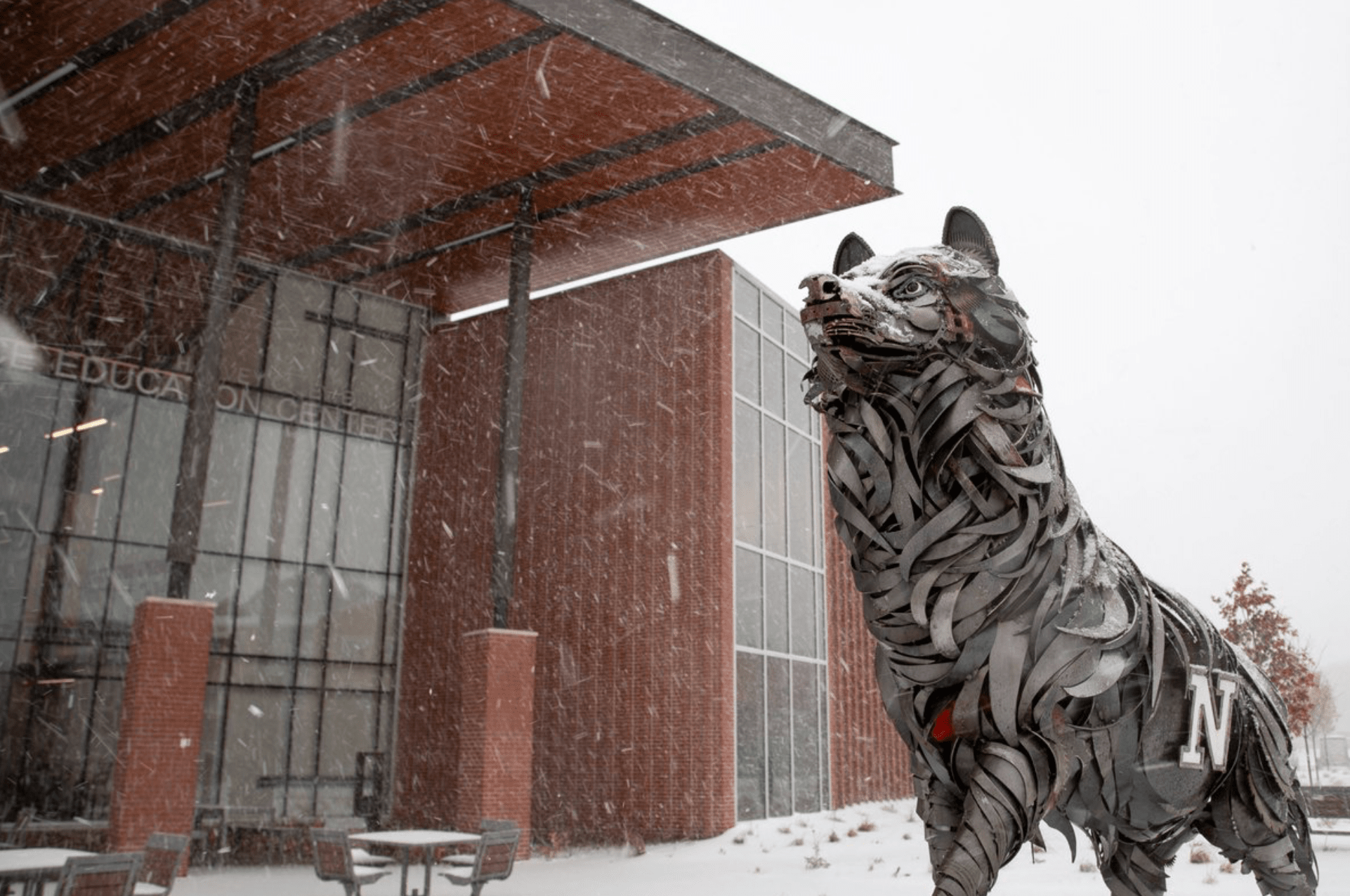 Master's In Sports Sciences Among New Programs Approved For Northern ...