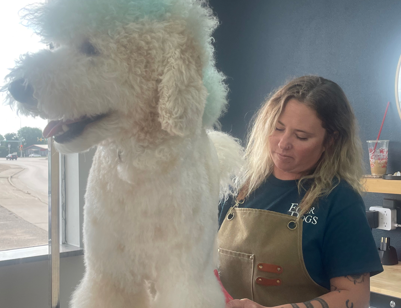 Four Dogs Luxury Pet Grooming Plans July 11 Grand Opening | Aberdeen ...