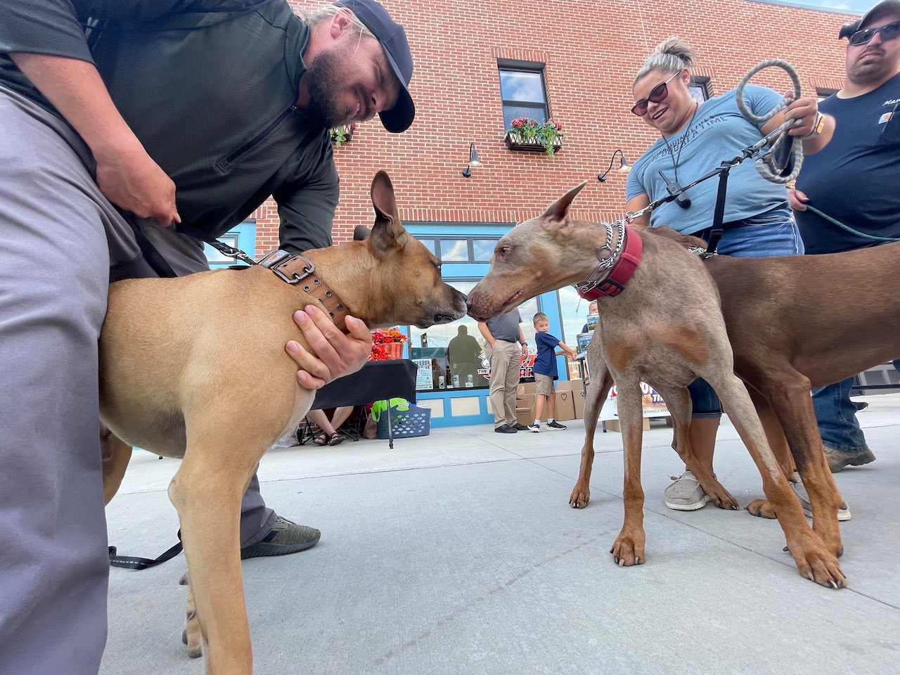 Entertainment: Pheasant Phestival Pup Crawl Is Thursday; Webster's ...