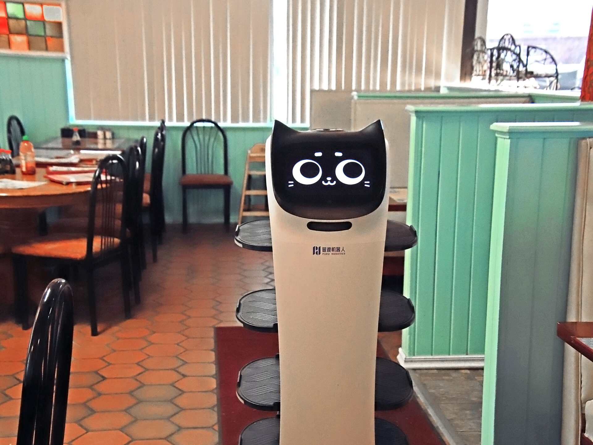 Friendly Catlike Robot Serves Meals At International Kitchen | Aberdeen ...
