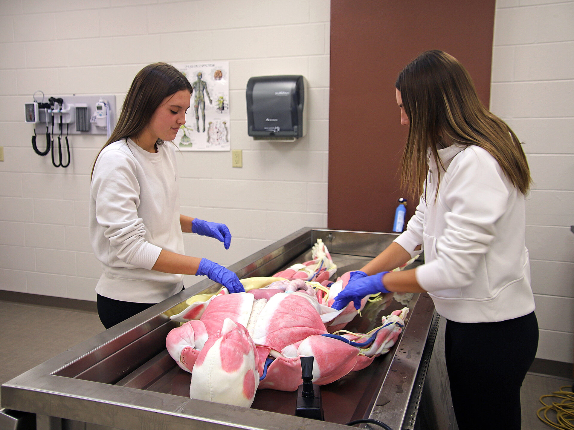 Synthetic Cadaver, New Science Lab Sparks Interest In Health Care At ...