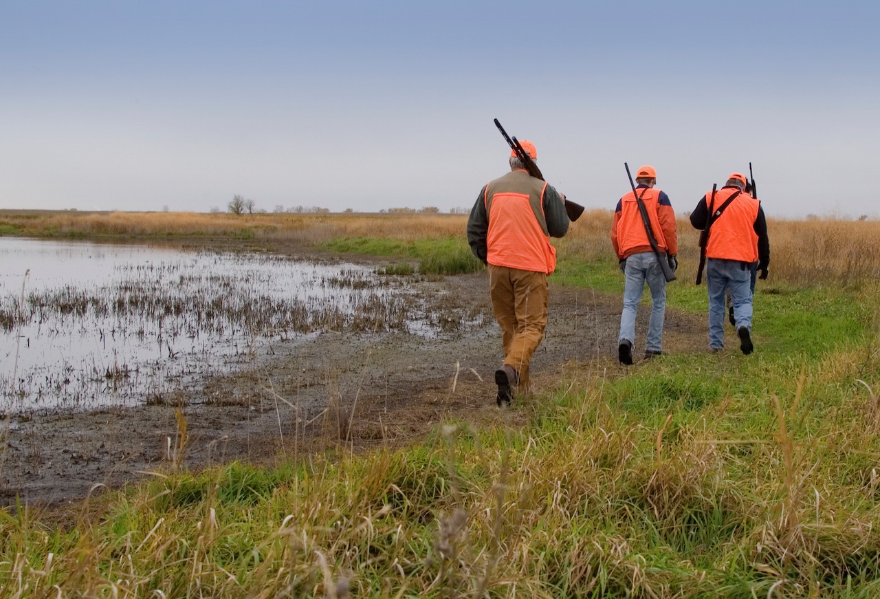 All You Need To Know About The 2023 Pheasant Hunting Season | Aberdeen ...