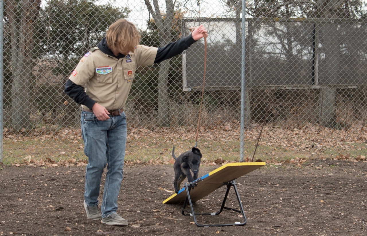 Dog Park At Humane Society Was Project For Aberdeen Eagle Scout ...
