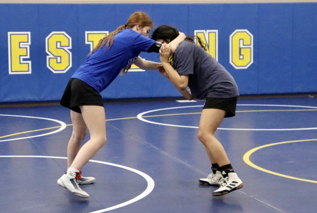 Two Central Wrestlers Rated No. 1 As Lee Wolf Invitational Approaches ...