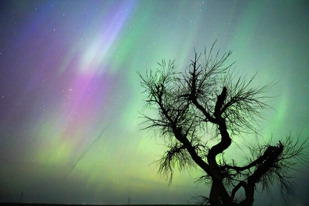 Gallery: Northern Lights Show | Aberdeen Insider