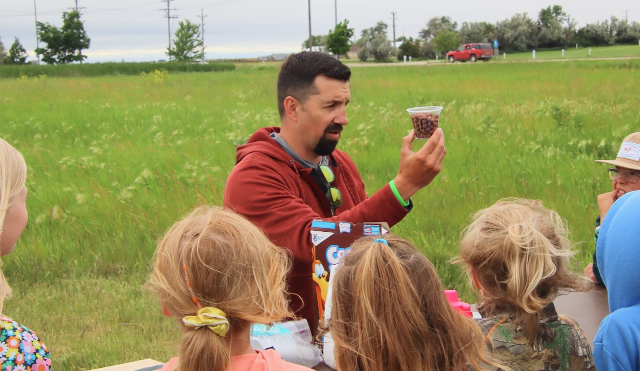 Prairie Restoration Has Been Four-year Journey On Presentation Sisters ...