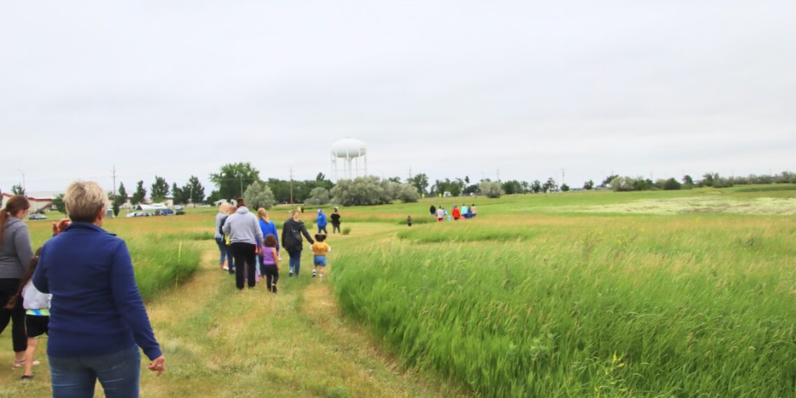 Prairie Restoration Has Been Four-year Journey On Presentation Sisters ...