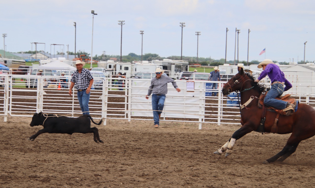 Gallery: Hub Area 4-H Rodeo | Aberdeen Insider