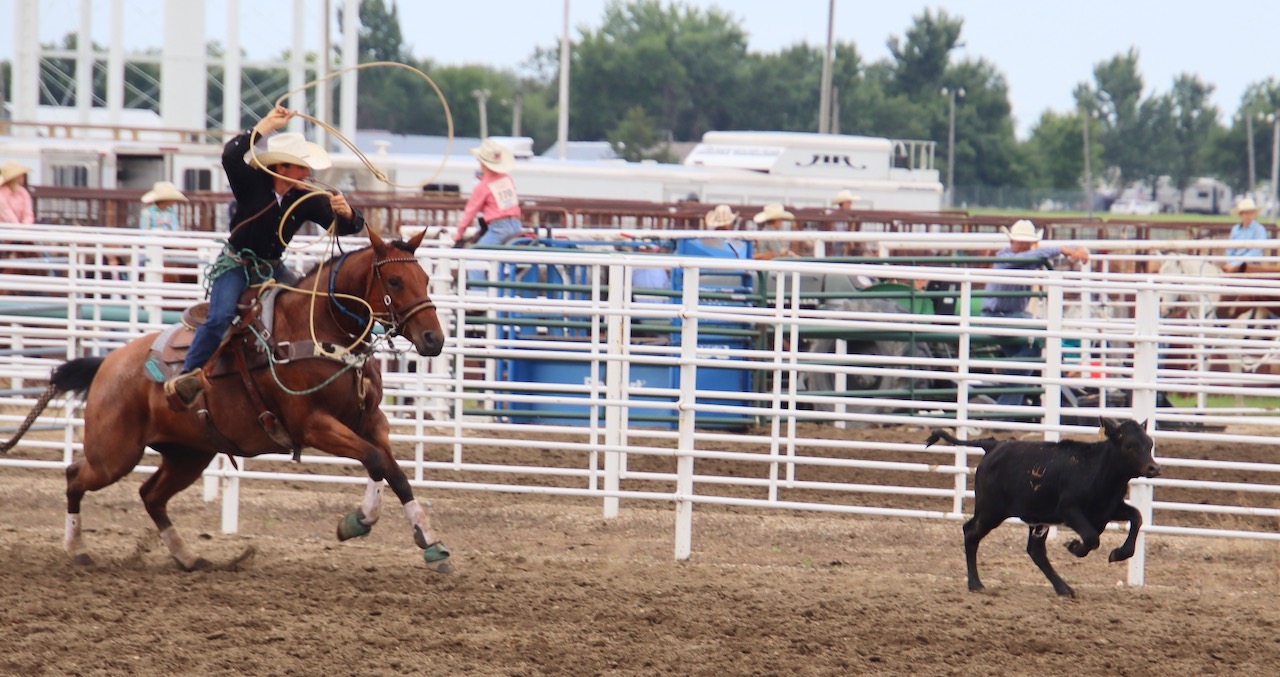 Gallery: Hub Area 4-H Rodeo | Aberdeen Insider