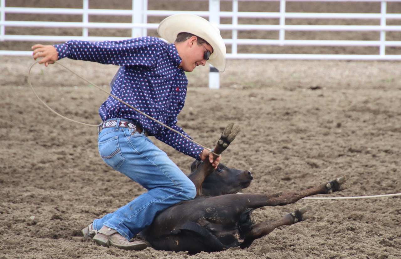 Gallery: Hub Area 4-H Rodeo | Aberdeen Insider