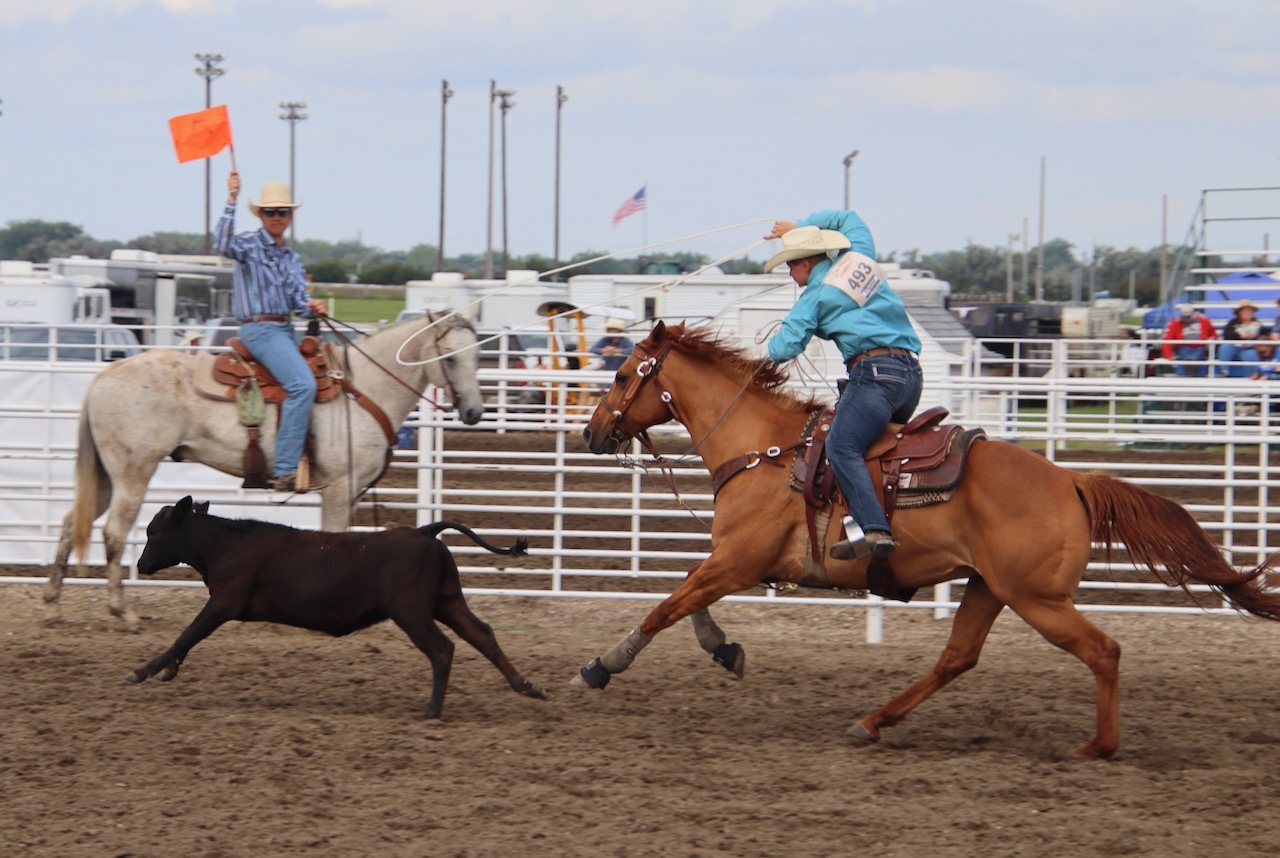 Gallery: Hub Area 4-H Rodeo | Aberdeen Insider