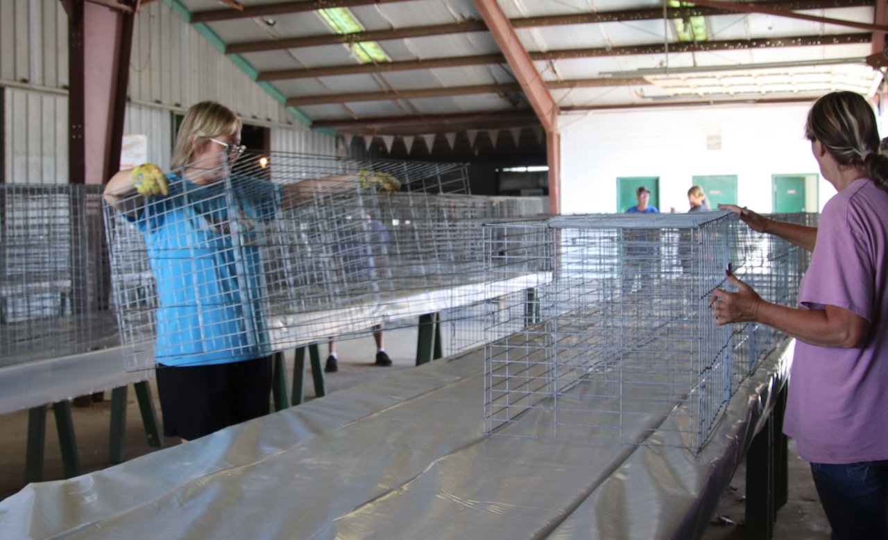 Brown County Fair Opens Monday, Aug. 12 With Mix Of Old And New ...