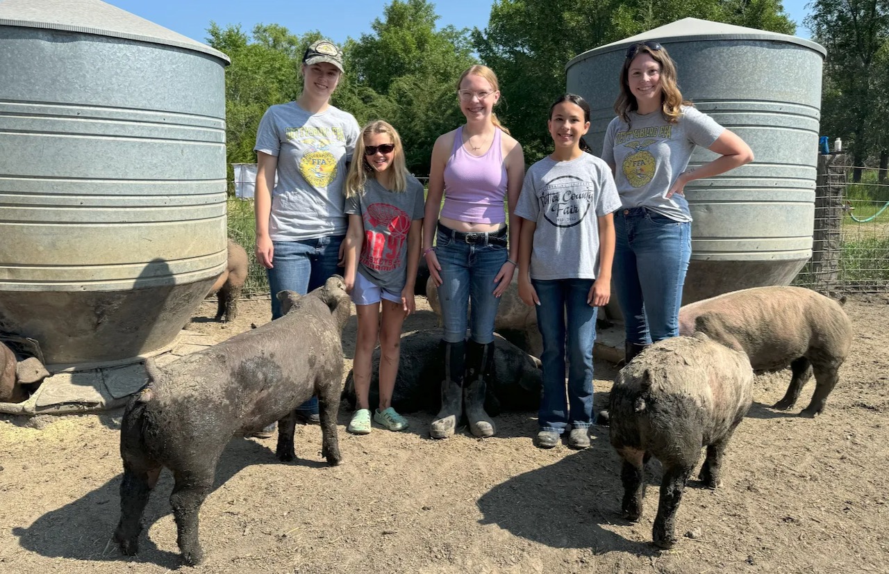Gettysburg FFA Pig Project Connects Kids Of All Backgrounds With ...