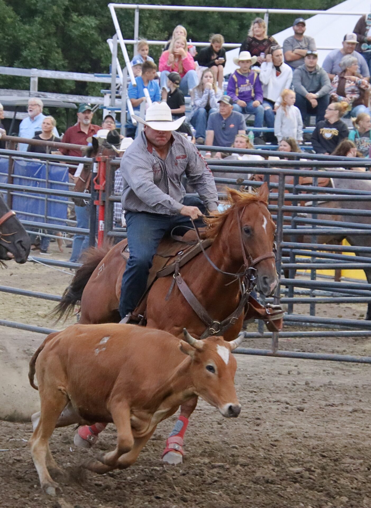 2024 Dacotah Bank Stampede Rodeo Wraps Up Two Days At Brown County Fair ...