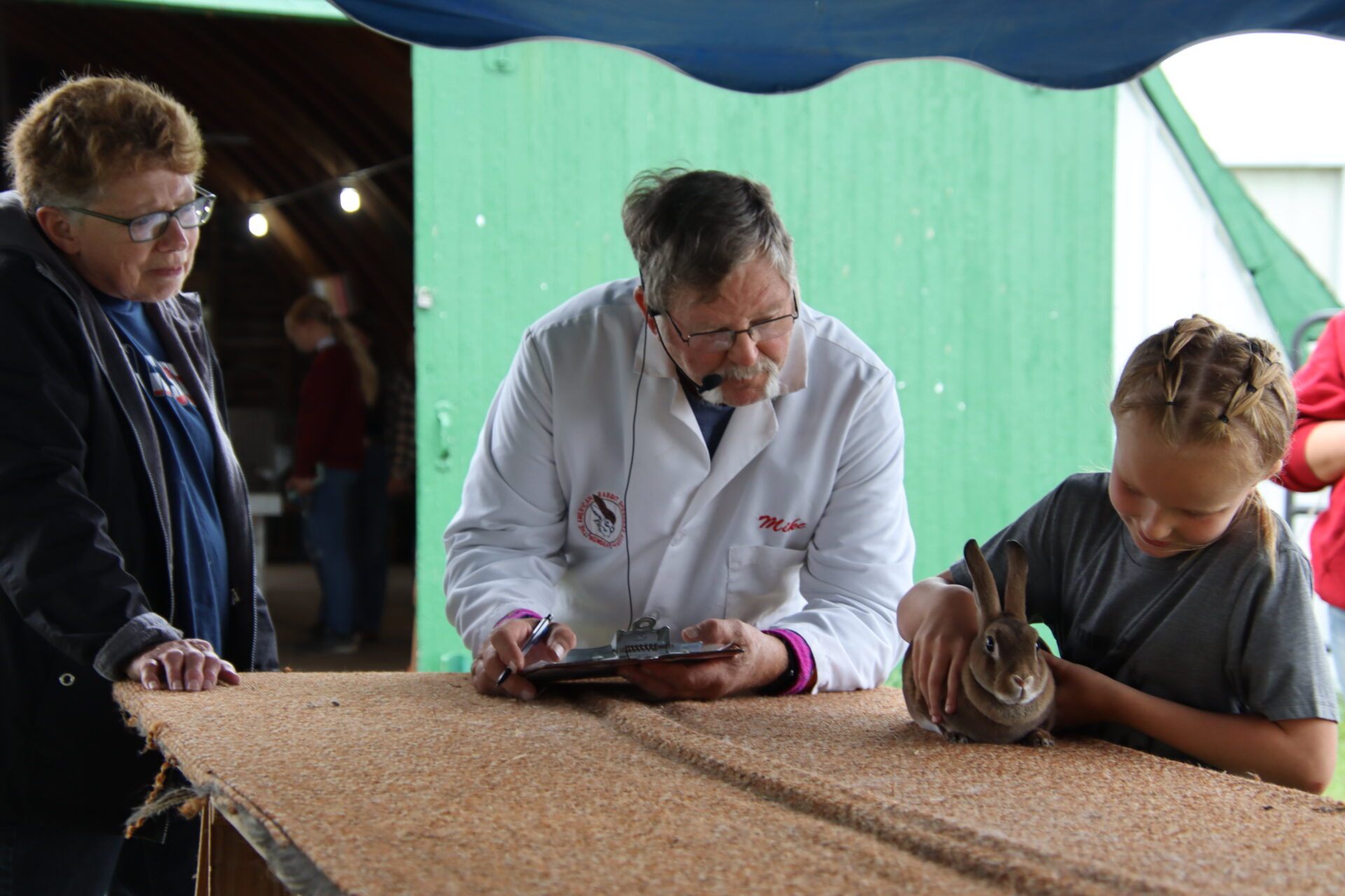 Gallery: Check Out The What's Happening At The 2024 Brown County Fair ...