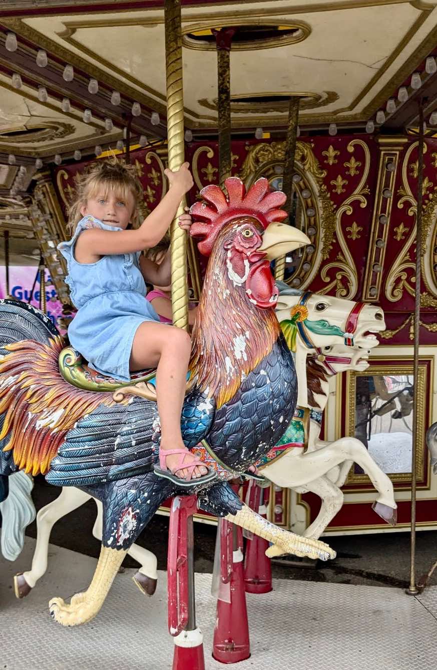 Gallery: Check Out The What's Happening At The 2024 Brown County Fair ...