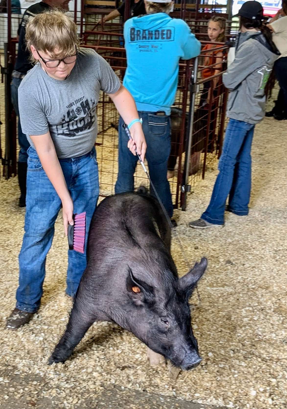 Gallery: Check Out The What's Happening At The 2024 Brown County Fair ...