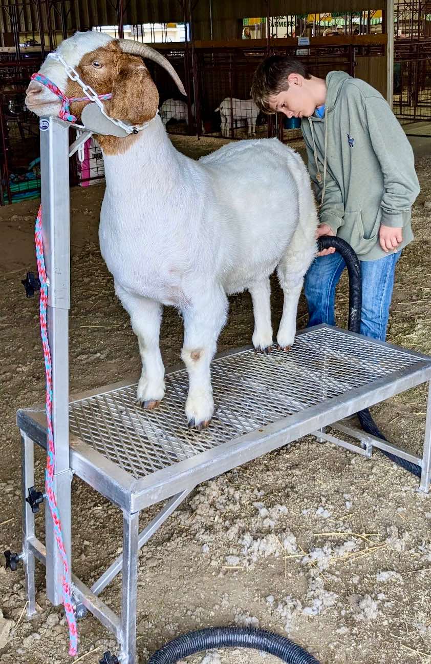 Gallery: Check Out The What's Happening At The 2024 Brown County Fair ...