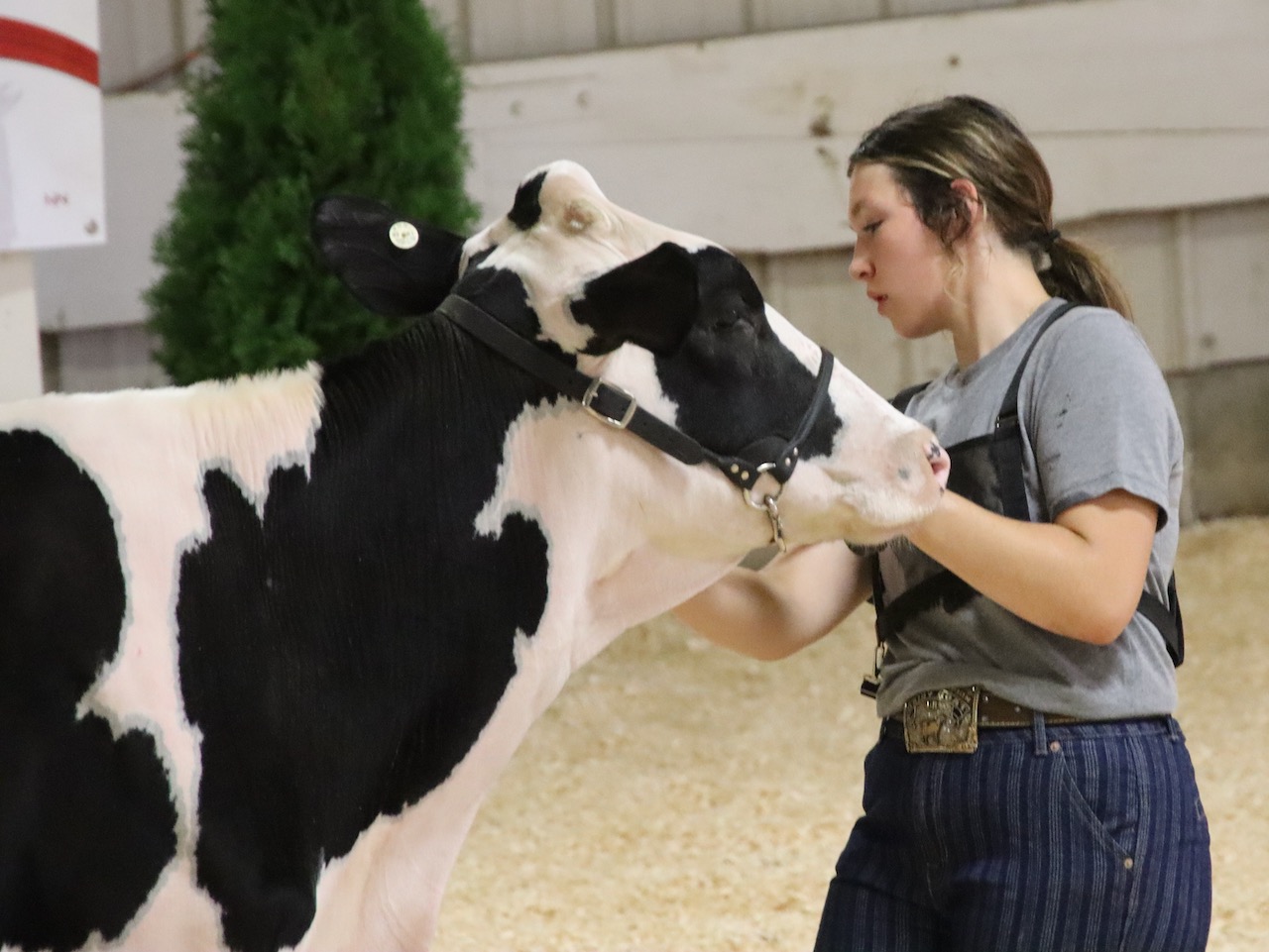 Gallery: Check Out The What's Happening At The 2024 Brown County Fair ...