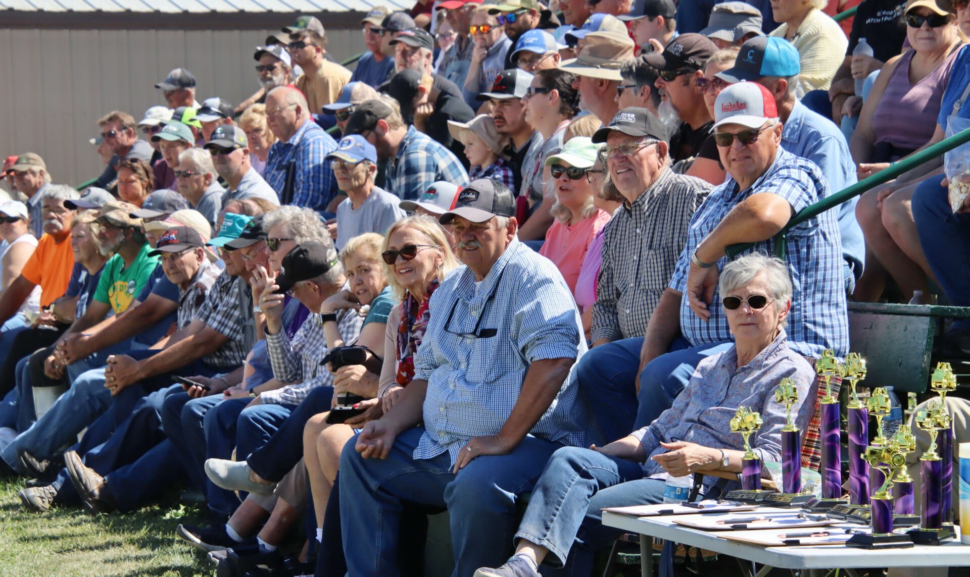 Gallery: Thousands Visit Andover For 50th James Valley Threshing Show ...