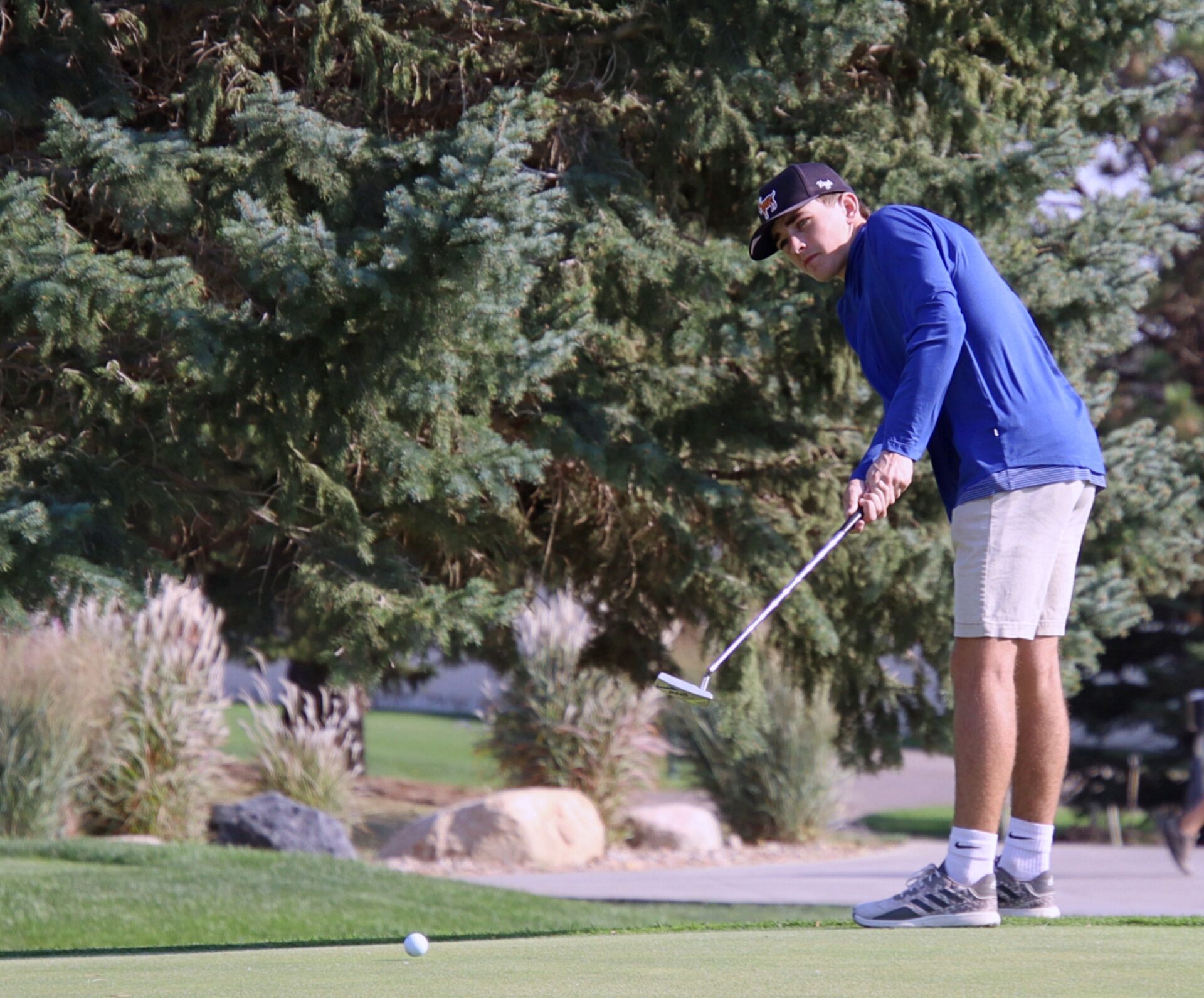 High School Sports Roundup: Roncalli Wins Region 1A Golf Title; Eagles ...