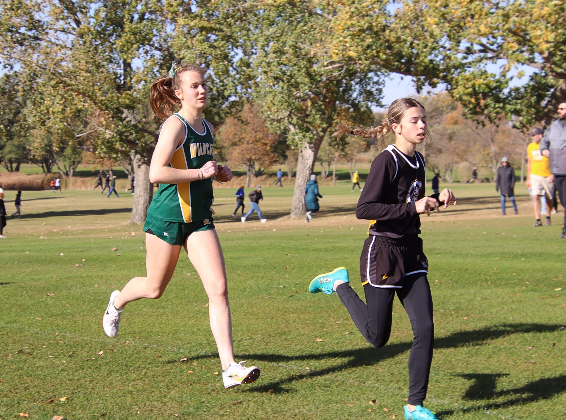 Scoring Snafu Nearly Leaves Roncalli Runner Out Of State Cross-country ...
