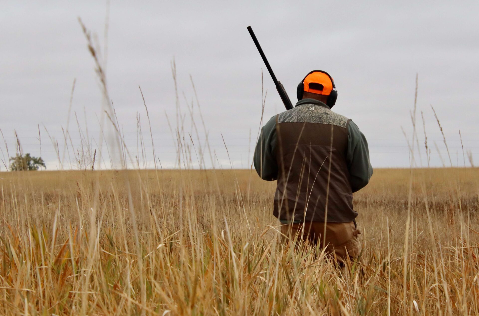 First-time Pheasant Hunter Enjoys 2024 Season Opener | Aberdeen Insider