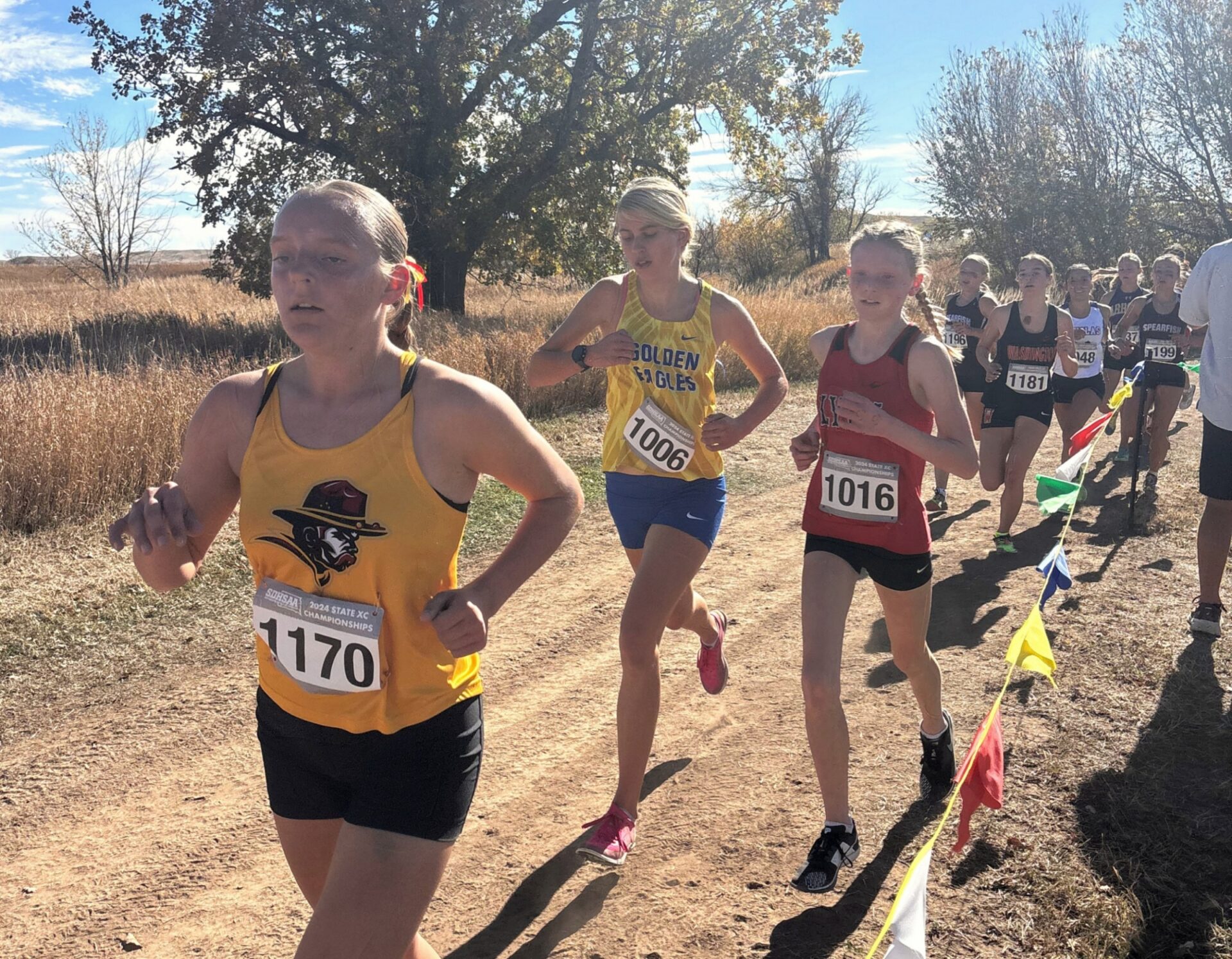 Northwestern's Boekelheide Is Girls Class B Cross-country Champ ...