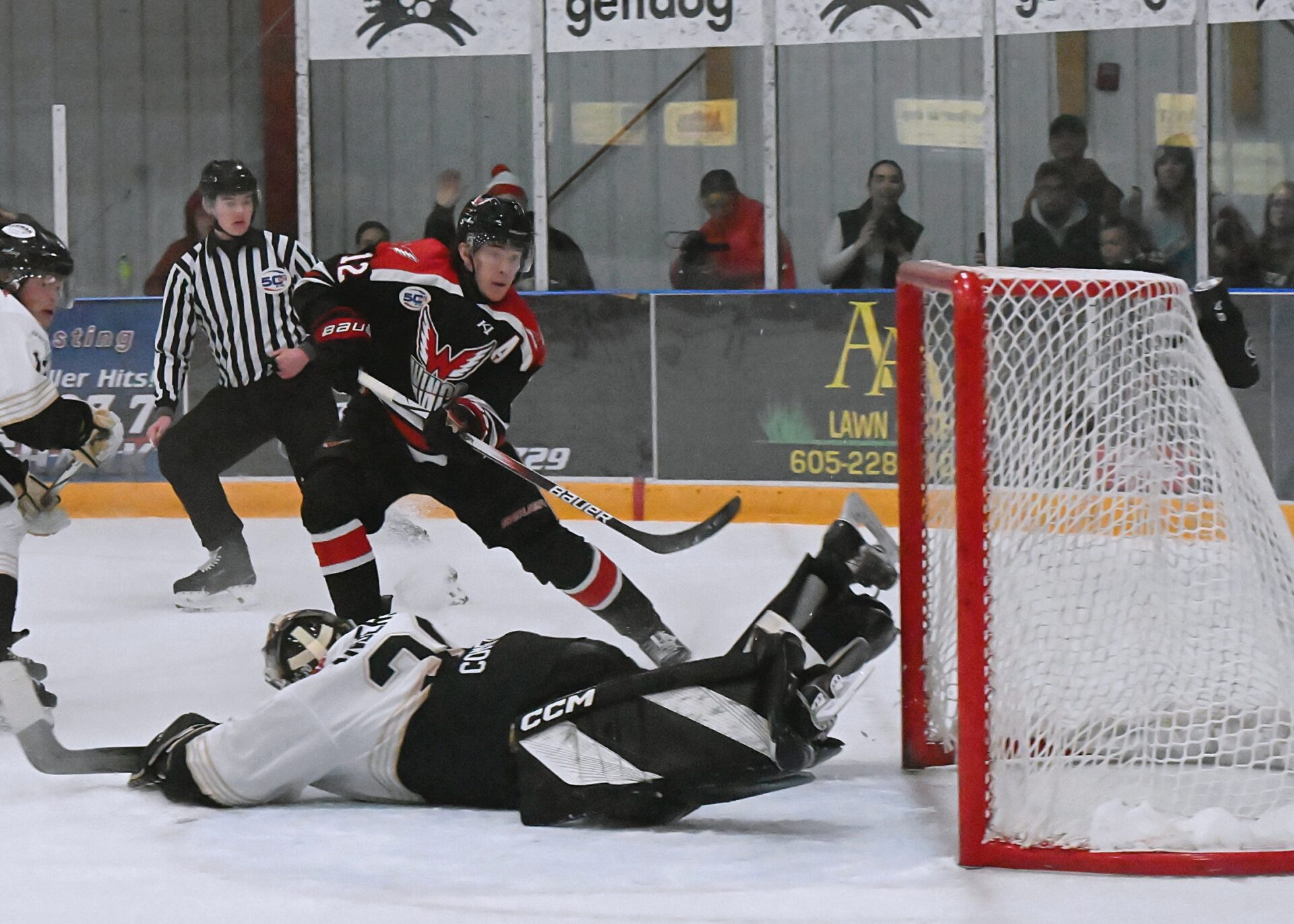 Wings Take Two Of Three, Including One Against Bismarck, During Busy ...
