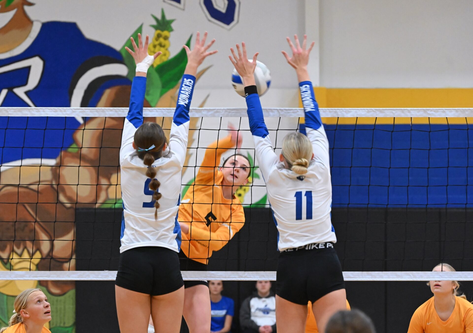 Warner Moves On To Class B Volleyball Tournament; Groton, Roncalli Fall ...