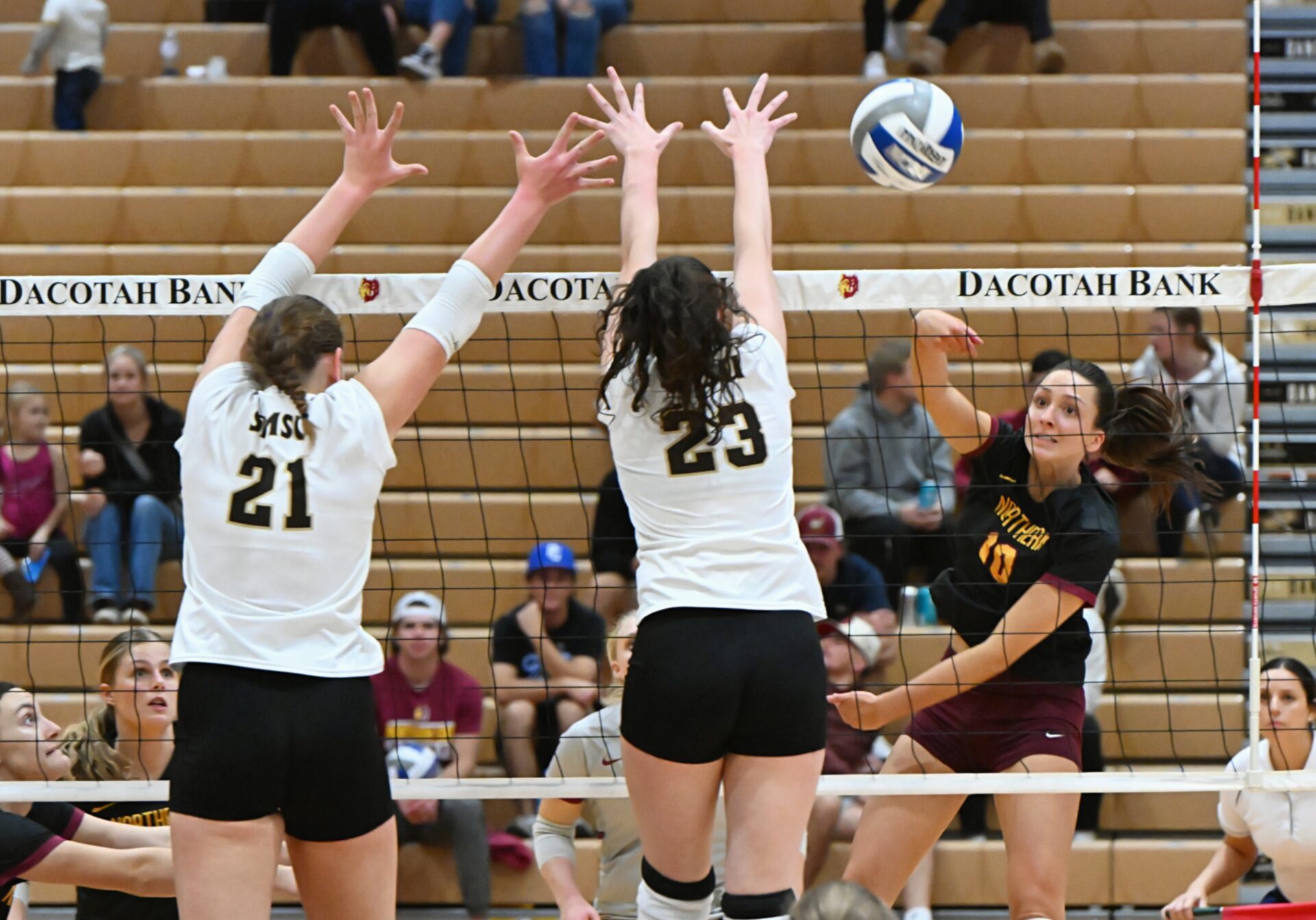 Northern State Volleyball Squad Advances To NSIC Tournament Semifinals ...