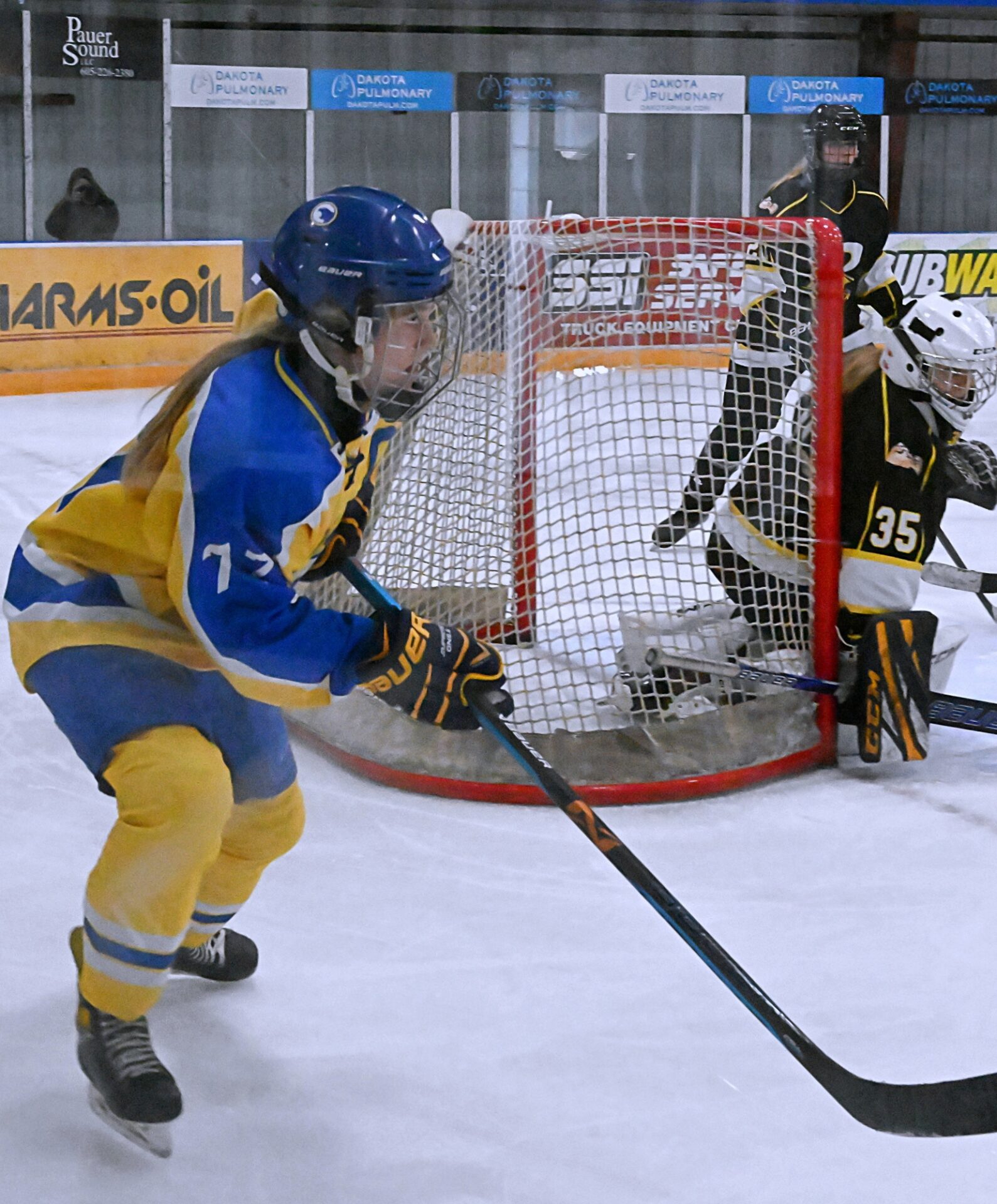 Hockey Roundup: Wings Miss Opportunity, Split With Mallards; Cougar ...
