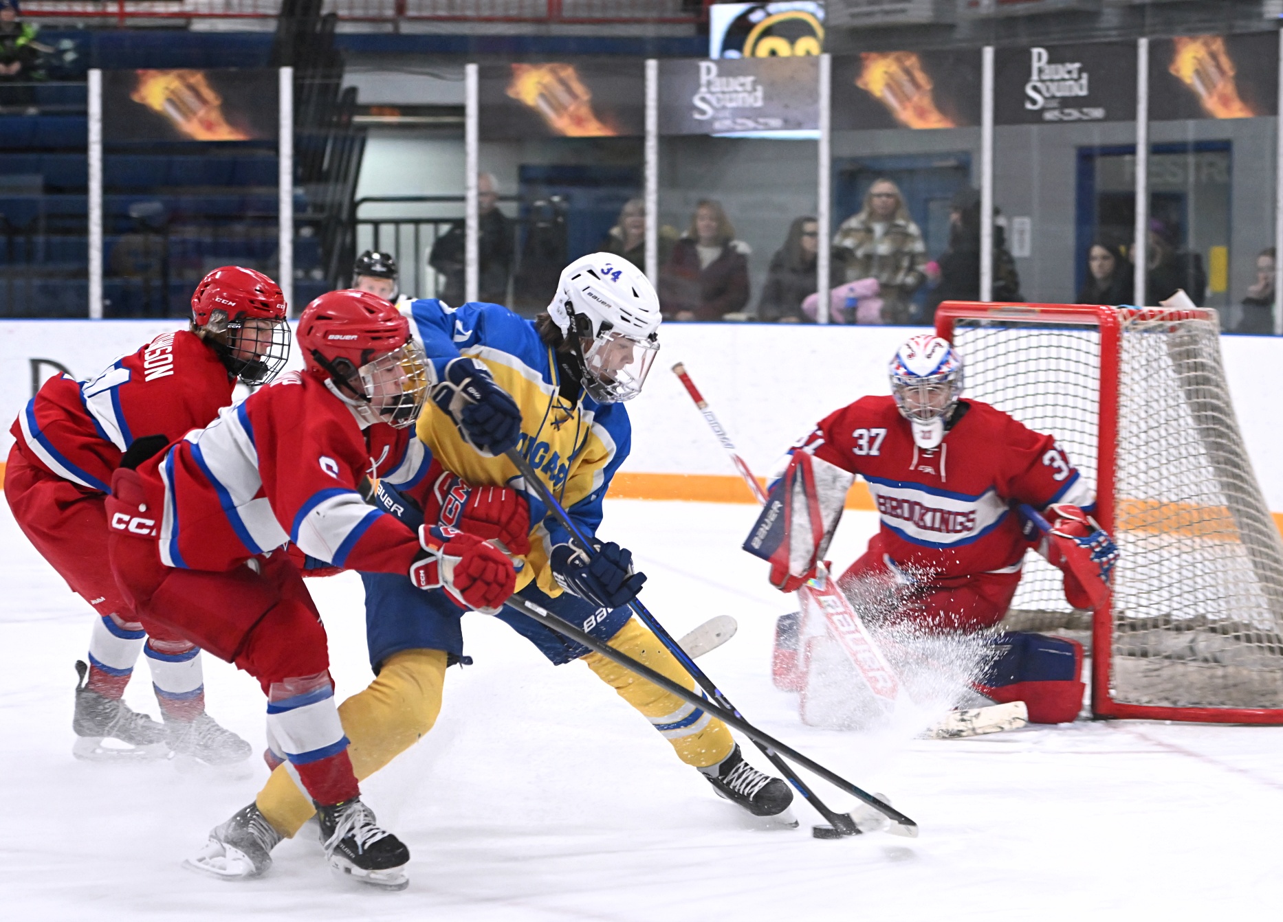 Sports Roundup: Cougar Boys, Girls Hockey Teams Suffer Overtime Losses ...