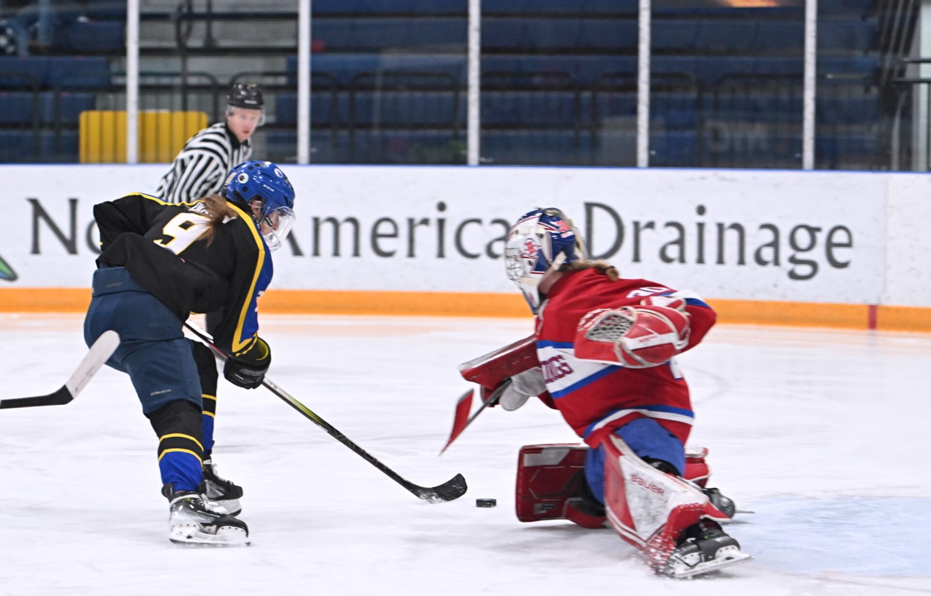 Sports Roundup: Cougar Boys, Girls Hockey Teams Suffer Overtime Losses ...