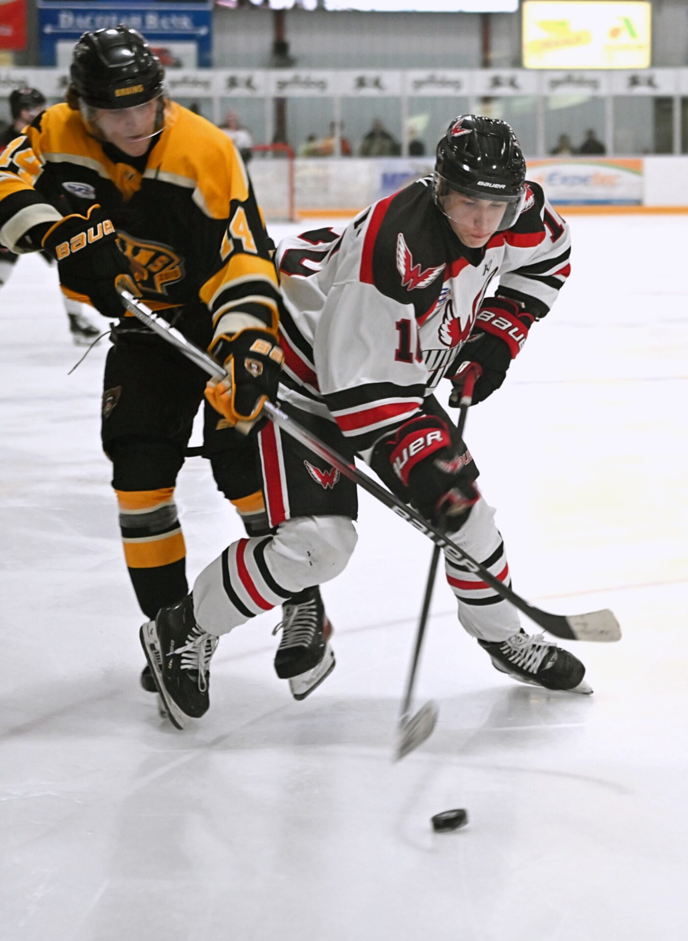 Sports Roundup : Wings Manage Just 1 Goal On 56 Shots, Have Lost Eight ...