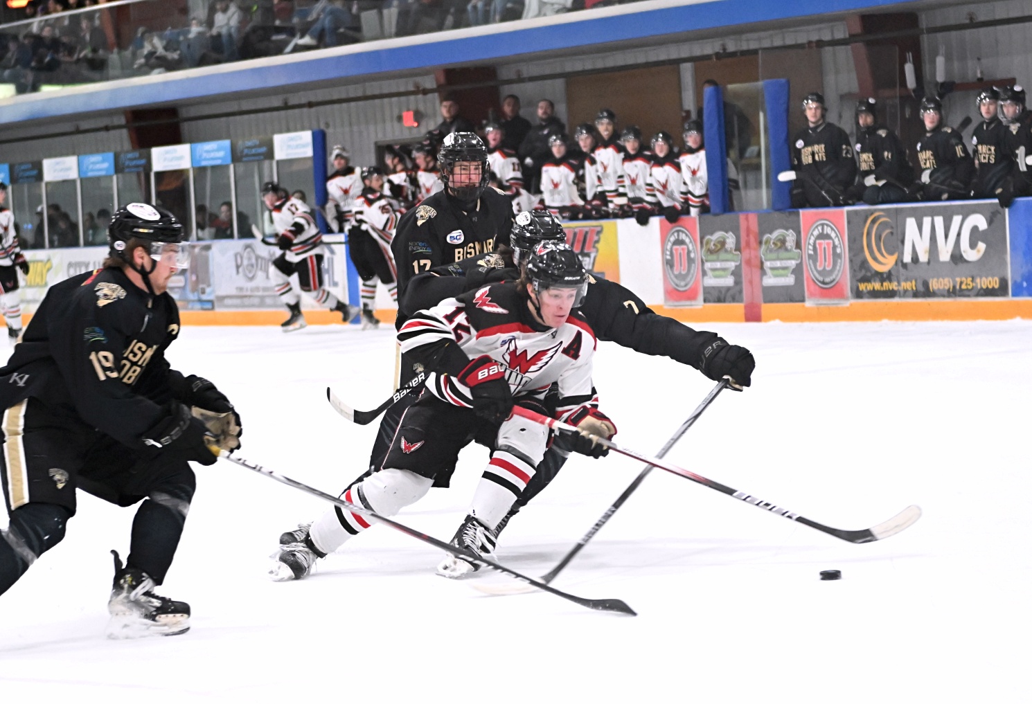 Sports Roundup: Aberdeen Wings Settle For Split Against Division ...