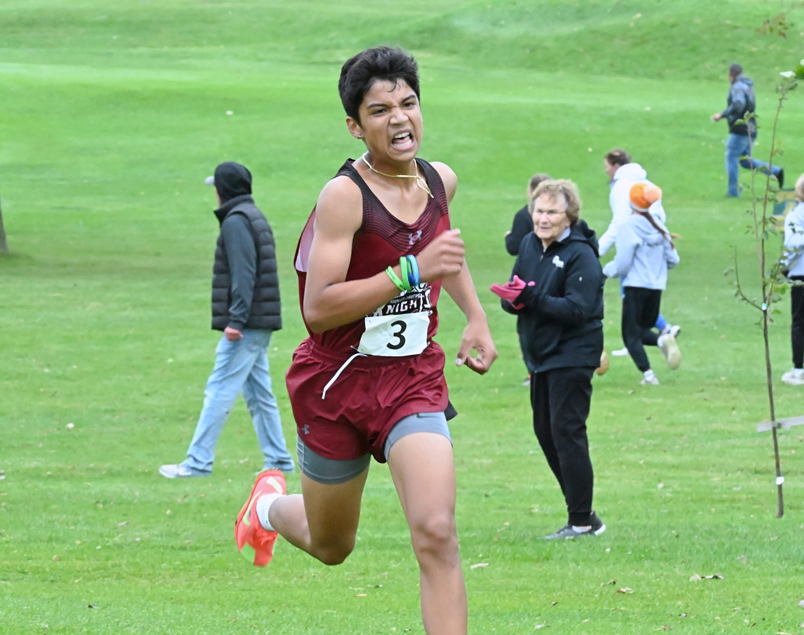 Northwestern's Boekelheide Wins Sixth Straight Region 1B Cross-country ...