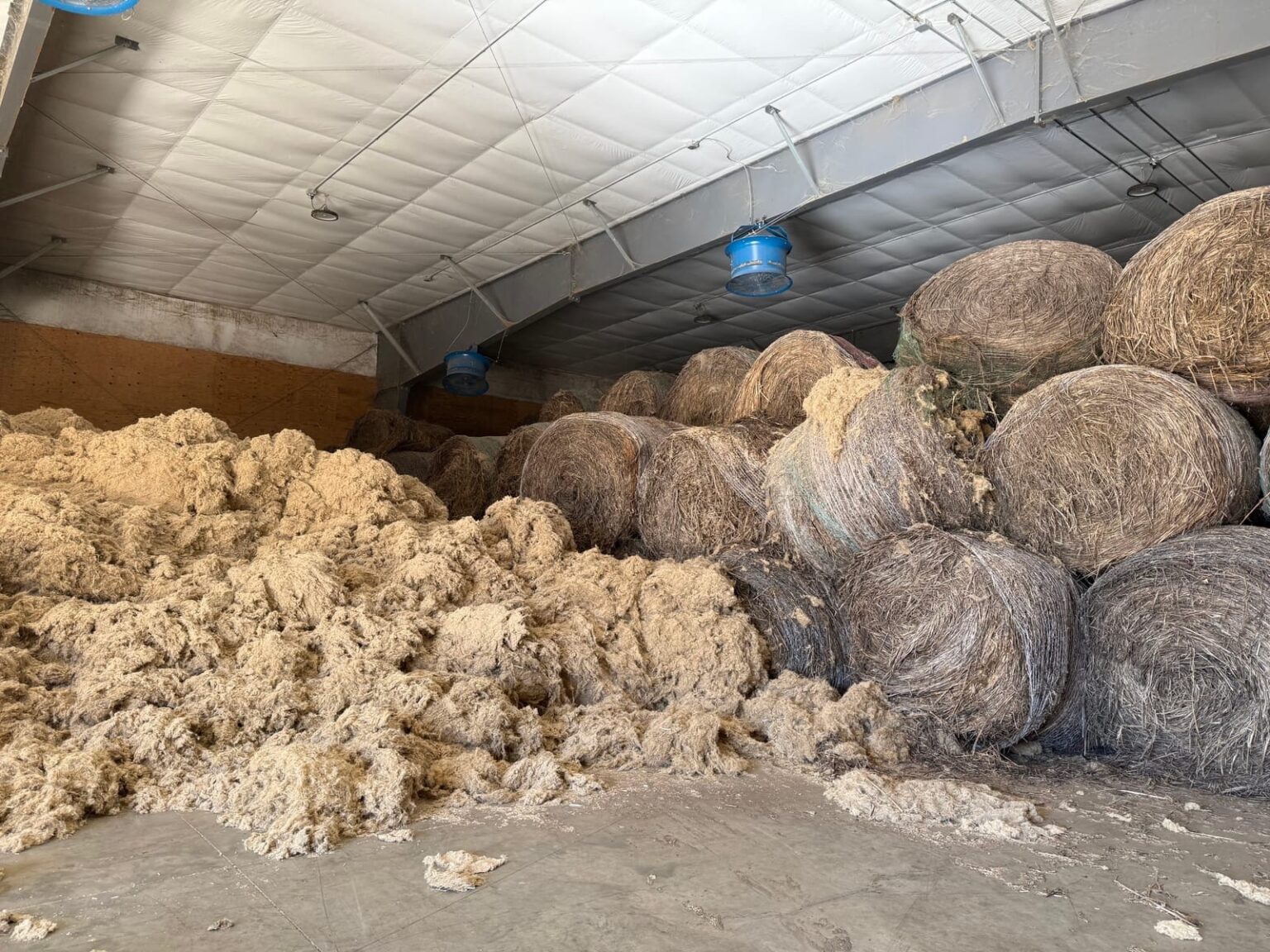 Hemp Industry Grows Amid Federal Legality Battle | Aberdeen Insider