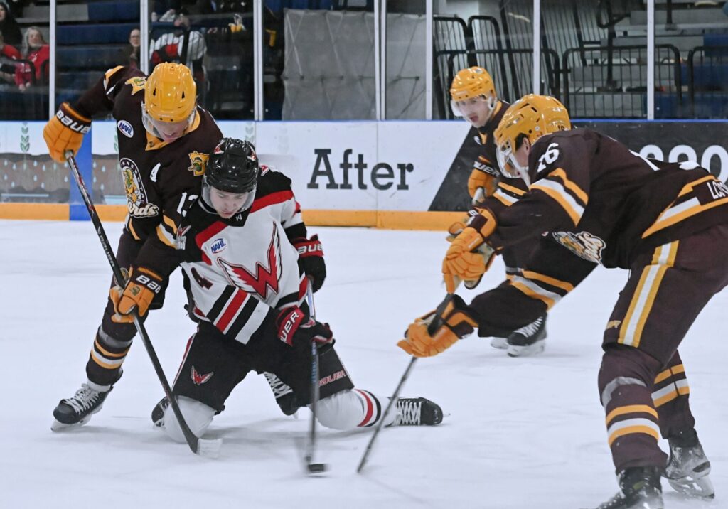 Sports Roundup: 16-goal Onslaught Leads To Wings Sweep Of Minnesota ...