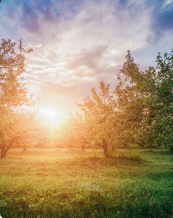 Penny Buchanan | Aberdeen Insider