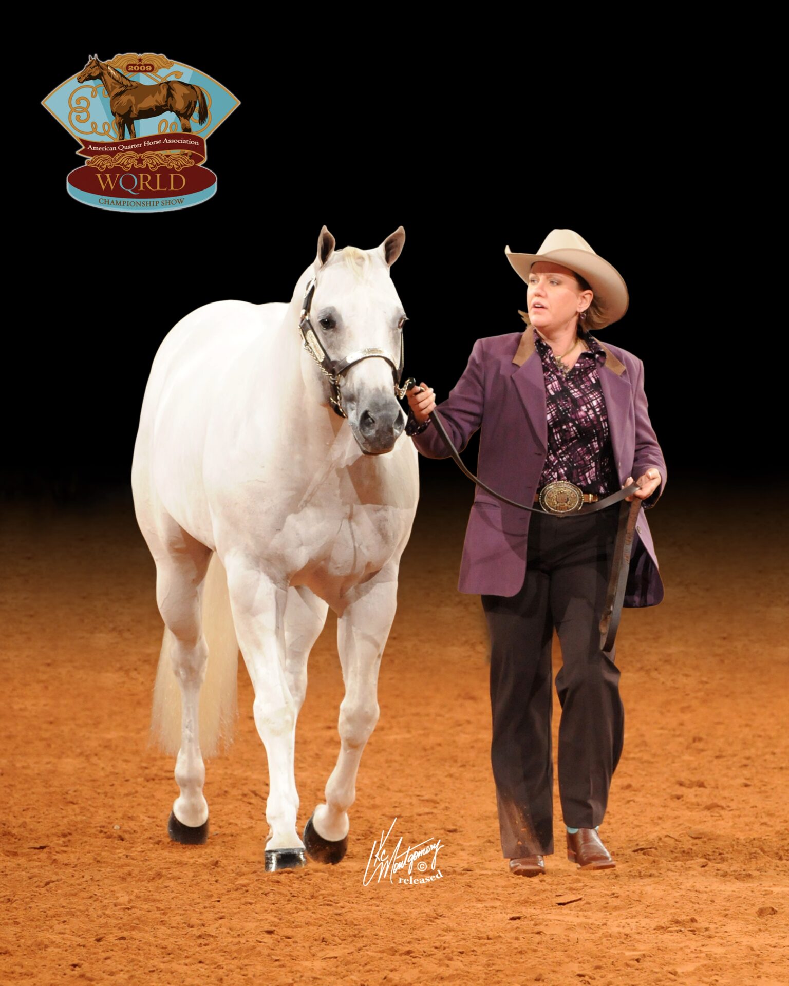 Stallion’s Life And Legacy A Genuine Gift To Groton Horsewoman ...