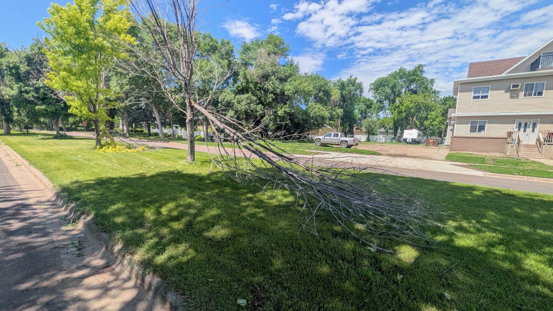 Strong Winds Damage Roofs, Trees; Gusts Reach 78 Mph | Aberdeen Insider